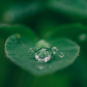 Jacobi: A Leading Activated Carbon Supplier & Manufacturer